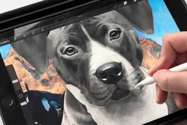How It Works - The Artwork Process at Pet Portraits™ · Pet Portraits